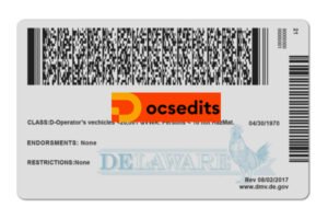 Delaware Driver License PSD Template - DocsEdits